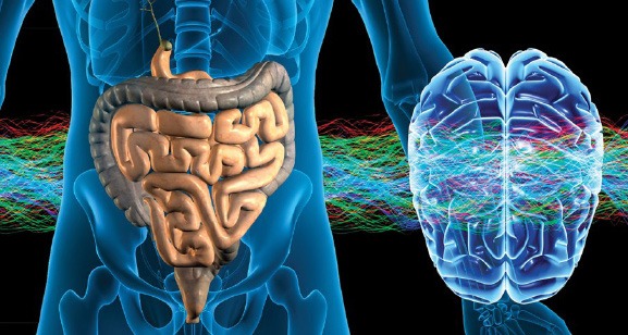 PFA Tips: Autism and the Digestive System – Pathfinders for Autism